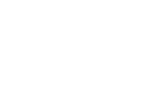 SSCI Collaboration - GSSI